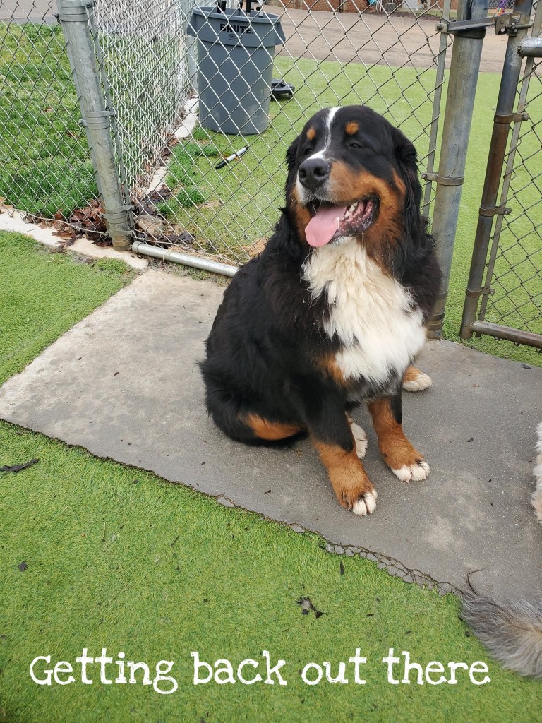 Getting back out there - The Thoughtful Mom