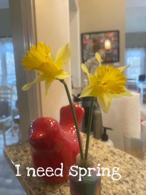 I need spring - The Thoughtful Mom
